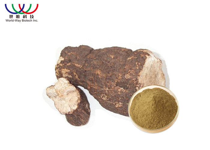 Pure Poria Cocos Sclerotium Extract , Lowering Blood Sugar Poria Cocos ...
