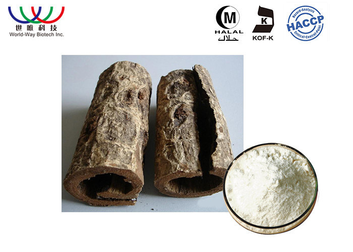 Organic Magnolia Grandiflora Bark Extract , Pure Magnolia Extract For Sleep