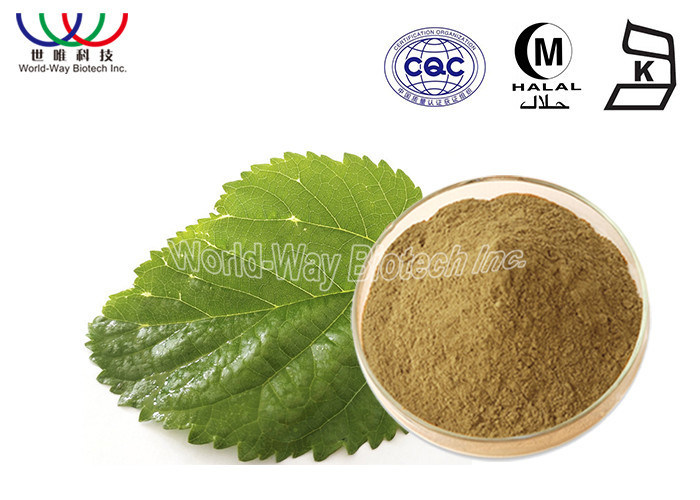 Water Soluble Morus Alba Bark Extract , White Mulberry Leaf Extract ...