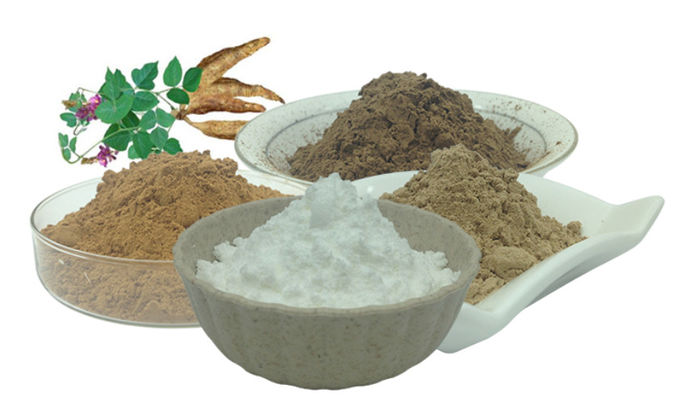 Pueraria Root Extract Puerarin 15%-98% Houttuynia Cordata Extract