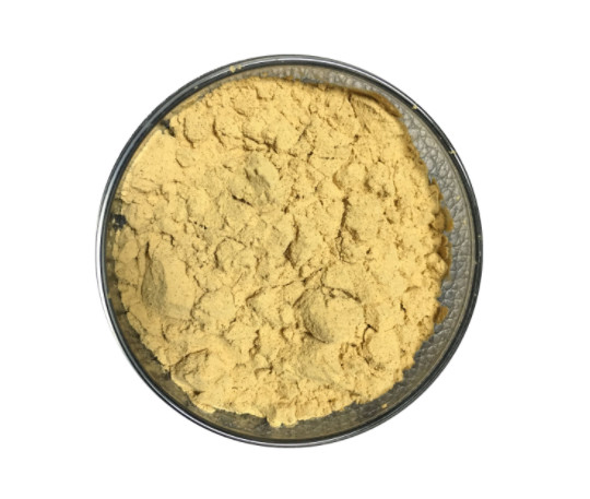 Pueraria Root Extract Puerarin 15%-98% Houttuynia Cordata Extract